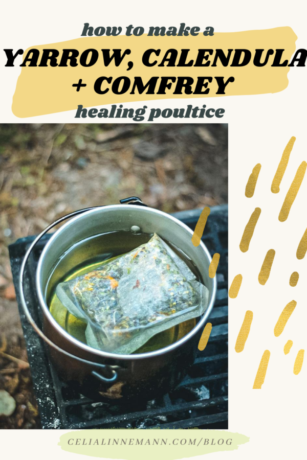 Indispensable Herbal First Aid - Yarrow, Calendula & Comfrey Poultice