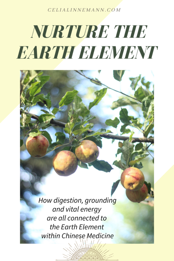 Earth Element: The Functions of the Spleen and Stomach in Chinese ...