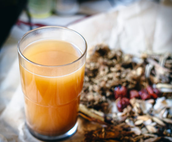 Gui Zhi Tang: Chinese Herbal Formula with Cinnamon and Peony for Wei Qi ...