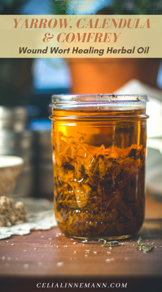Healing Herbal Oil Recipe with Yarrow, Plantain, Calendula and Comfrey