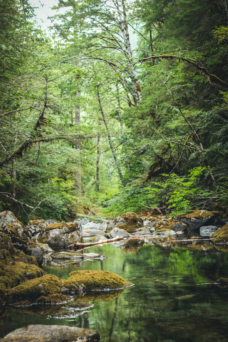 Allowing Fear in the Watery Land of Zhi: The Spirit of the Kidneys ...