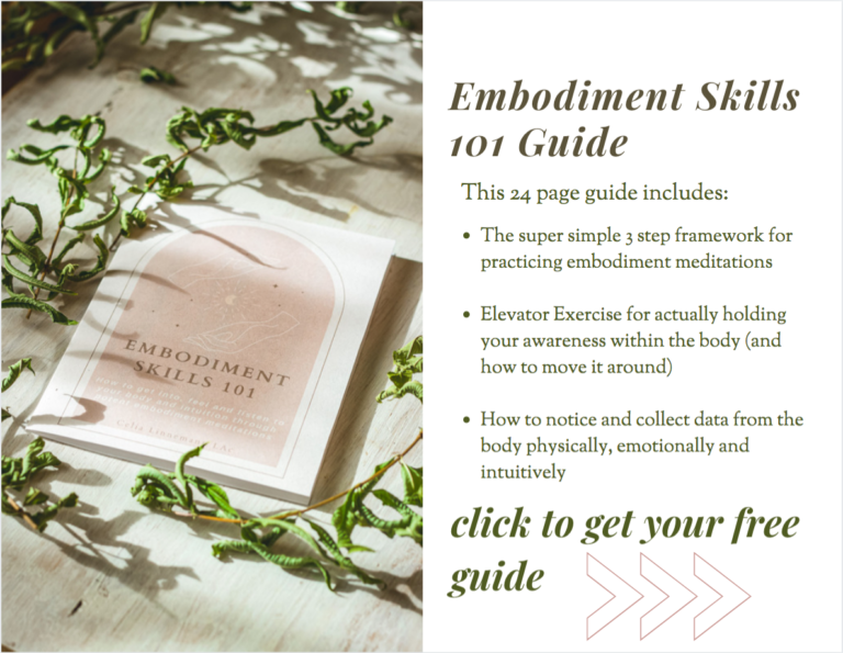 Body Meditations made simple: The foundations of an Embodiment Practice